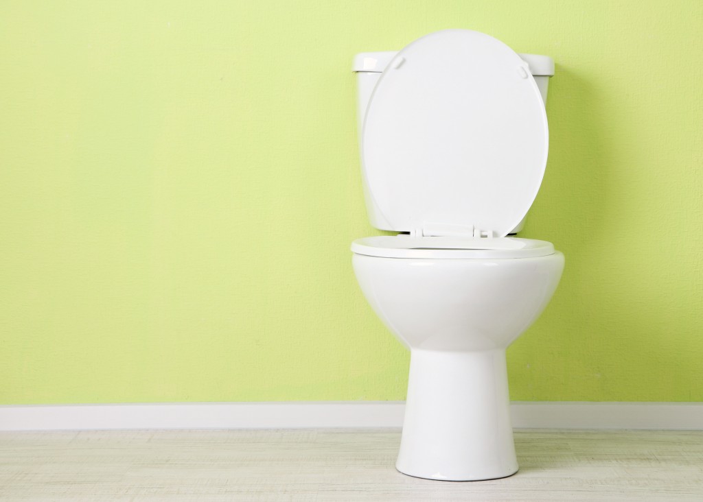 A Guide To Buying A Toilet In Pittsburgh | Terry's Plumbing