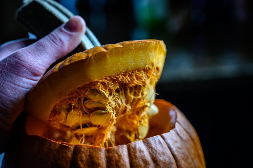 Pumpkin Guts: A Plumbing Nightmare | Terry's Plumbing